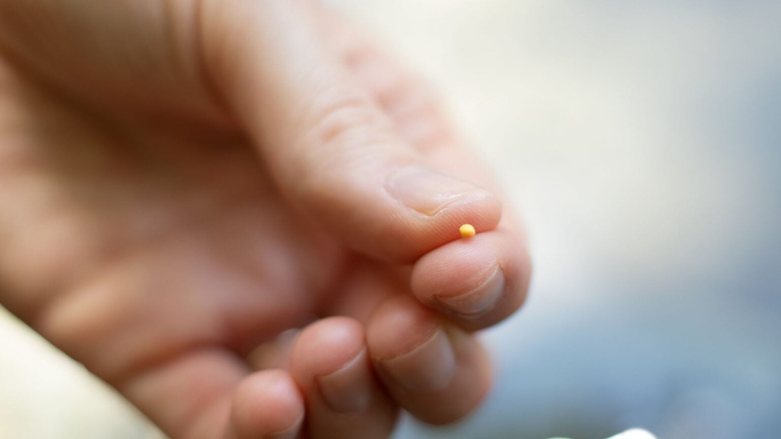 What is the Meaning of the Parable of the Mustard Seed
