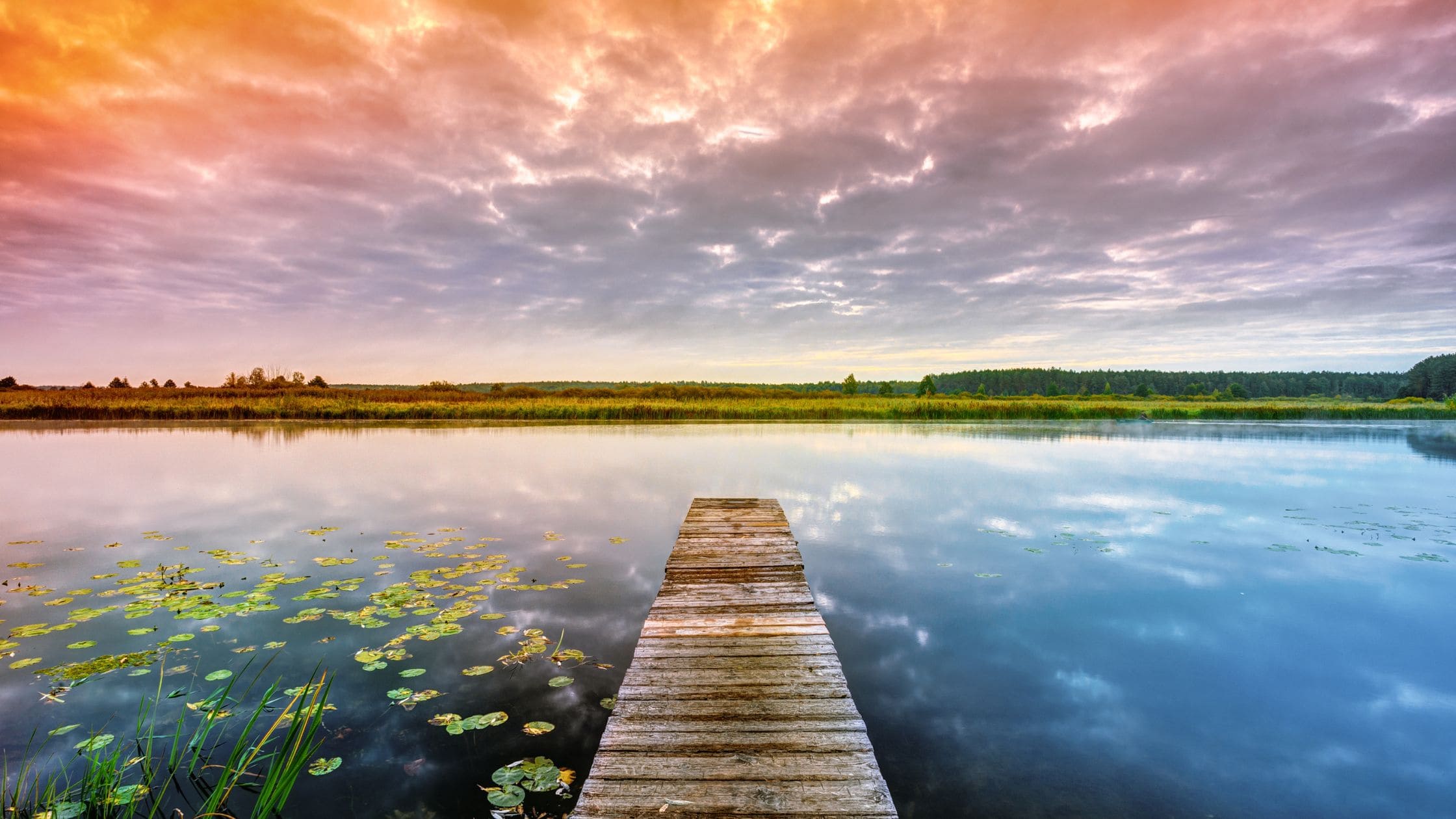 7 Powerful Anxiety Calming Scriptures
